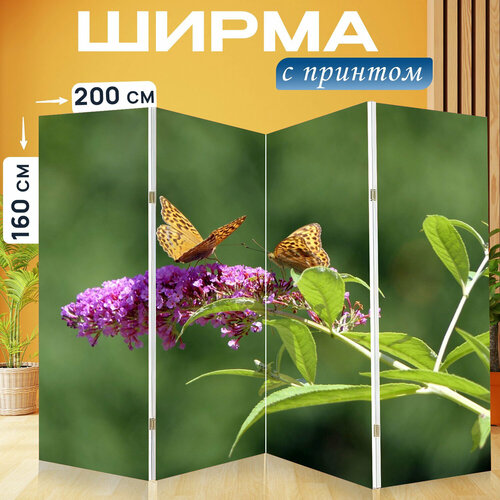 Ширма перегородка с принтом "Бабочки, цвести, закрывать" на холсте - 200x160 см. для зонирования, раскладная