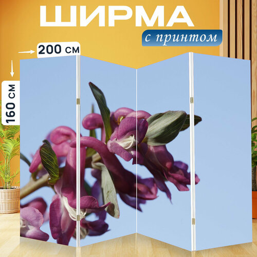 Ширма перегородка с принтом "Весна, цветок, природа" на холсте - 200x160 см. для зонирования, раскладная
