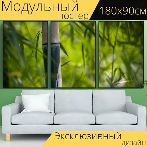 Модульный постер "Стебель бамбука, бамбуковые рощи, листва" 180 x 90 см. для интерьера