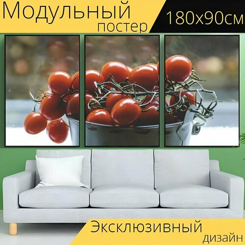 Модульный постер "Помидоры, помидор, еда" 180 x 90 см. для интерьера