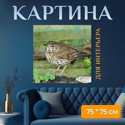 Картина на холсте "Природа, птица, молочница" на подрамнике 75х75 см. для интерьера