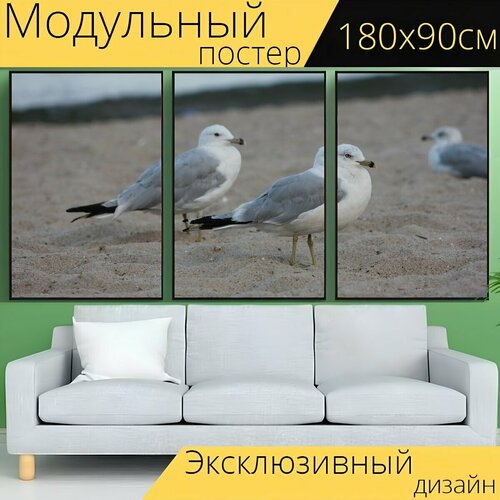 Модульный постер "Пляж, песок, чайки" 180 x 90 см. для интерьера