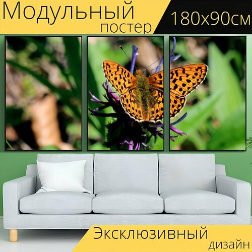 Модульный постер "Перламутровая бабочка болотный луг, болория селена, бабочка" 180 x 90 см. для интерьера