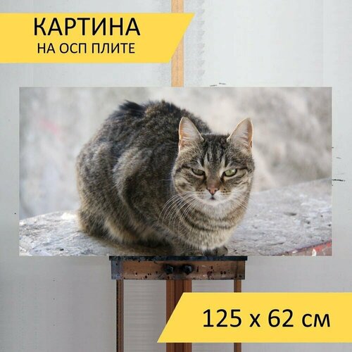 Картина на ОСП 125х62 см. "Кошка, животное, домашний питомец" горизонтальная, для интерьера, с креплениями