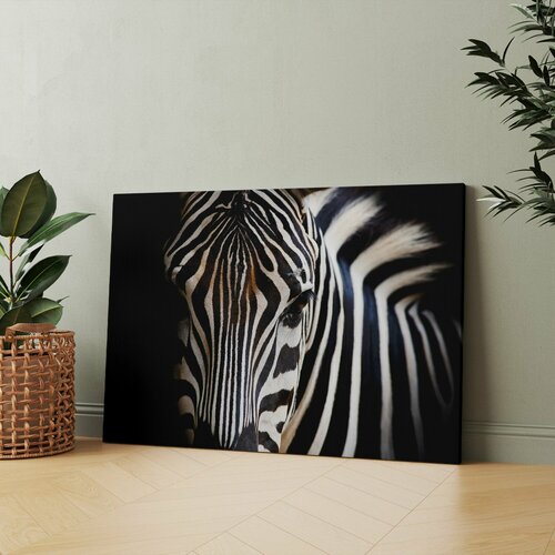 Картина на холсте "Крупный план головы зебры на черном фоне" 40x60 см. Интерьерная, на стену.