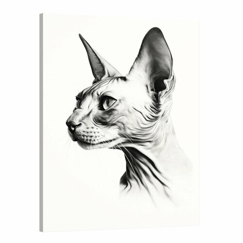 Интерьерная картина 50х70 "Кошка-сфинкс: головоломка нежности"