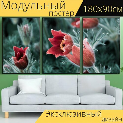 Модульный постер "Цветы, лепестки, тюльпаны" 180 x 90 см. для интерьера