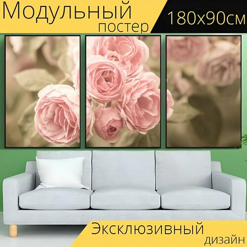 Модульный постер "Розы, цветок, завод" 180 x 90 см. для интерьера