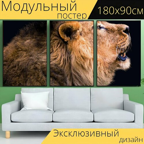 Модульный постер "Животное, лев, большой кот" 180 x 90 см. для интерьера