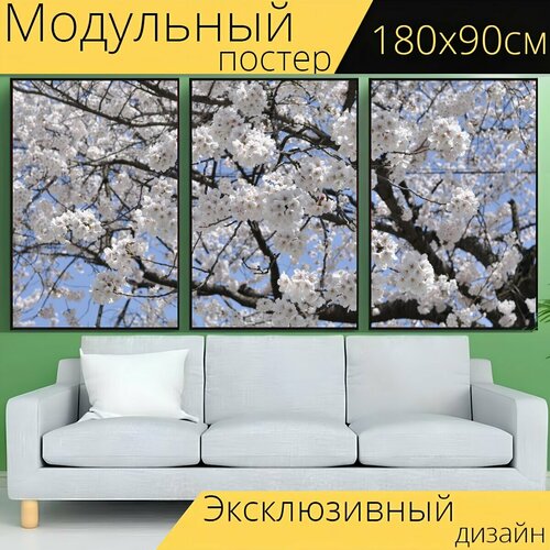 Модульный постер "Вишня в цвету, весна, вишни в цвету" 180 x 90 см. для интерьера