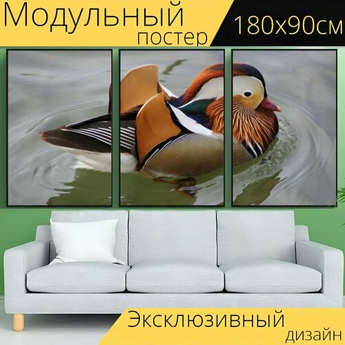 Модульный постер "Птица, утка, клюв" 180 x 90 см. для интерьера
