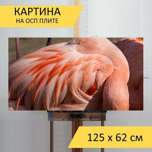 Картина на ОСП 125х62 см. "Фламинго, зоопарк, ганновер" горизонтальная, для интерьера, с креплениями