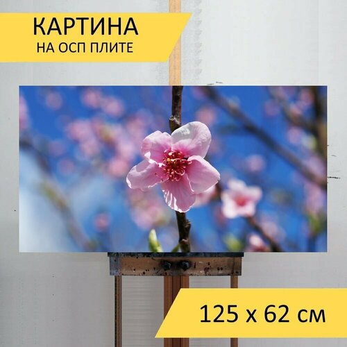 Картина на ОСП 125х62 см. "Вишни в цвету, цветок, весна" горизонтальная, для интерьера, с креплениями