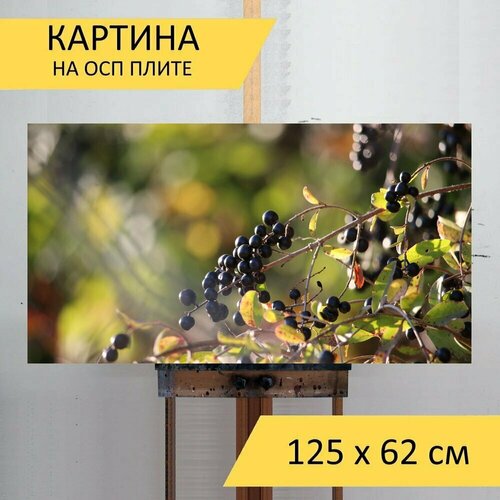 Картина на ОСП 125х62 см. "Лигустер, кустарник, падение" горизонтальная, для интерьера, с креплениями