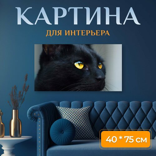 Картина на холсте "Кошка, чернить, китти" на подрамнике 75х40 см. для интерьера