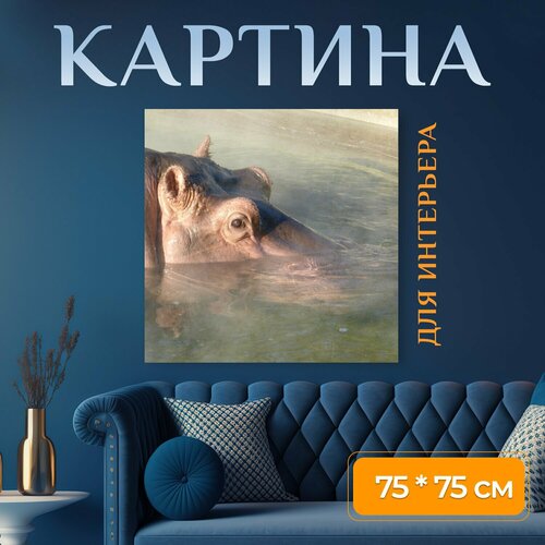 Картина на холсте "Бегемот, погружен, вода" на подрамнике 75х75 см. для интерьера