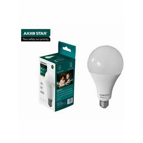 Светодиодная (LED) лампа AKKOSTAR A95-25W-E27 (6500K)