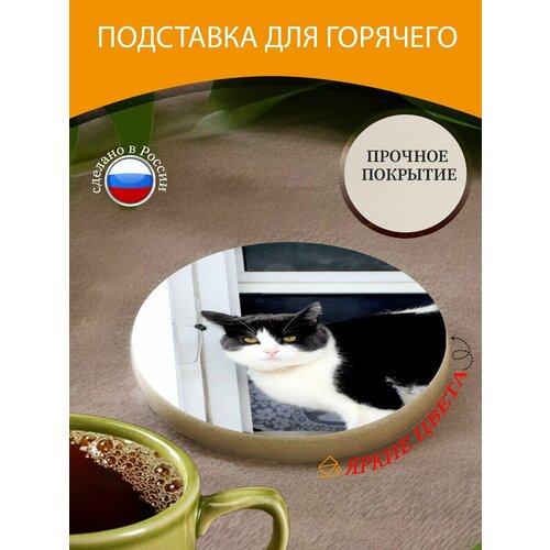 Подставка под горячее "Кошка, чернобелый кот, домашний питомец" 10 см. из блого мрамора