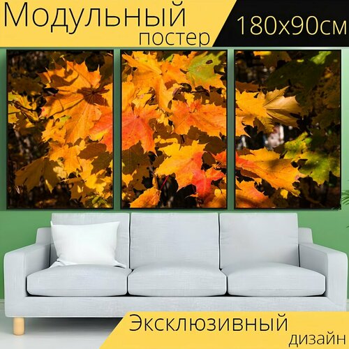 Модульный постер "Осень, клен, листва" 180 x 90 см. для интерьера