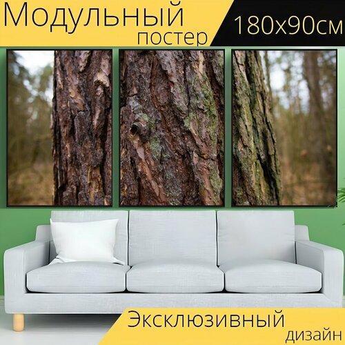 Модульный постер "Лаять, дерево, лес" 180 x 90 см. для интерьера