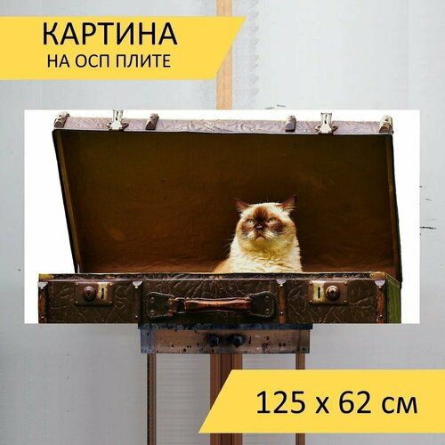 Картина на ОСП 125х62 см. "Чемодан, античный, британская короткошерстная кошка" горизонтальная, для интерьера, с креплениями