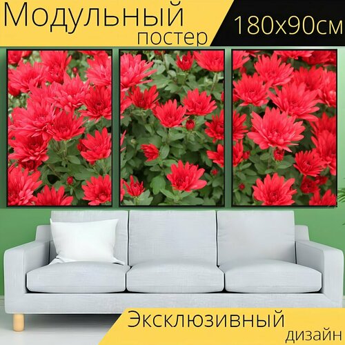 Модульный постер "Хризантемы, цветы, красный" 180 x 90 см. для интерьера