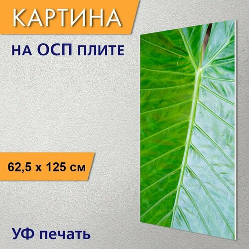 Вертикальная картина на ОСП "Пальма, пальмовые листья, лист" 62x125 см. для интерьериа