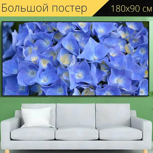 Большой постер "Гортензия синий, сад, природа" 180 x 90 см. для интерьера