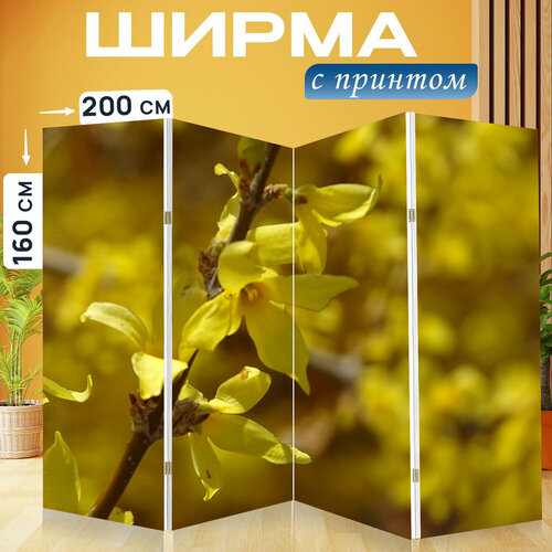 Ширма перегородка с принтом "Желтый, весна, цвести" на холсте - 200x160 см. для зонирования, раскладная