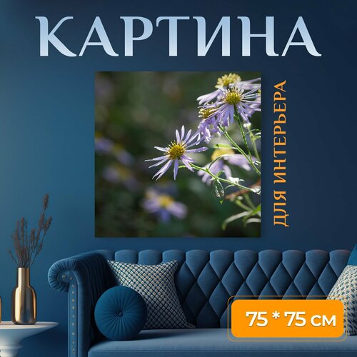 Картина на холсте "Астры, цветы, цвести" на подрамнике 75х75 см. для интерьера