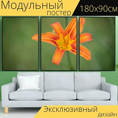 Модульный постер "Цветок, цветочная пыльца, апельсин" 180 x 90 см. для интерьера