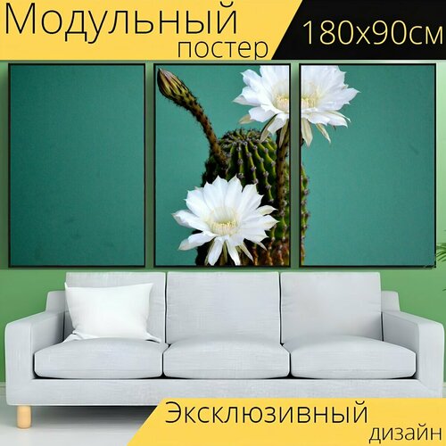 Модульный постер "Кактус, цветок, кактусы" 180 x 90 см. для интерьера