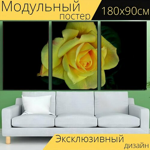 Модульный постер "Роуз, цветок, желтый" 180 x 90 см. для интерьера