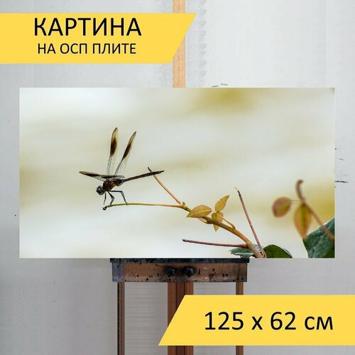 Картина на ОСП 125х62 см. "Стрекоза, природа, насекомое" горизонтальная, для интерьера, с креплениями