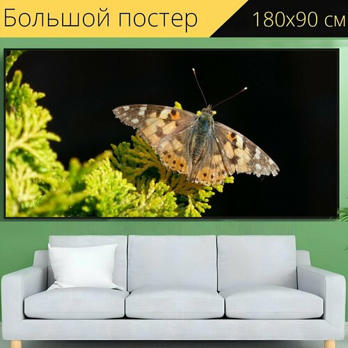 Большой постер "Бабочка, насекомое, карта" 180 x 90 см. для интерьера