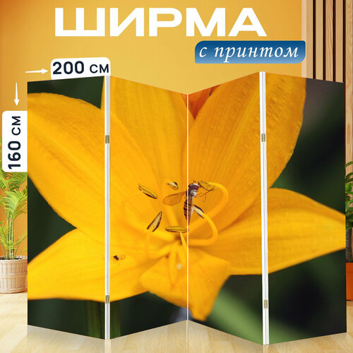 Ширма перегородка с принтом "Саранка, журчалка, муха" на холсте - 200x160 см. для зонирования, раскладная