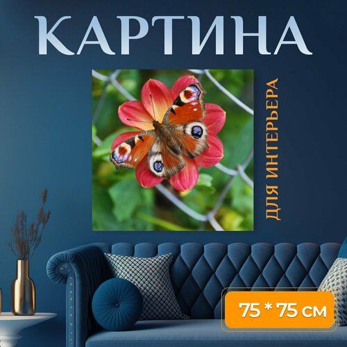 Картина на холсте "Природа, цветок, бабочка" на подрамнике 75х75 см. для интерьера