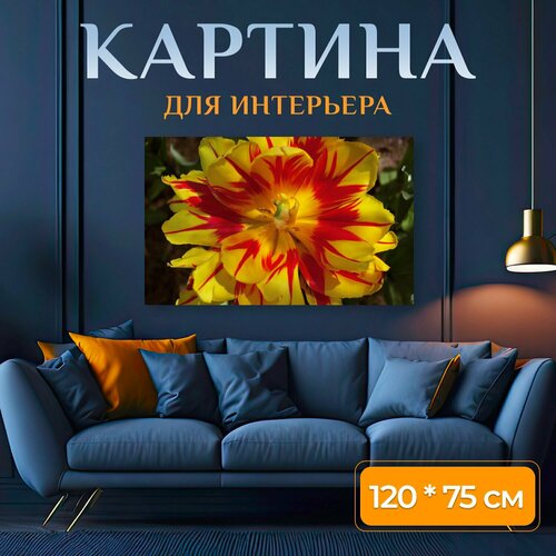 Картина на холсте "Тюльпан, жёлтый, цветок" на подрамнике 120х75 см. для интерьера
