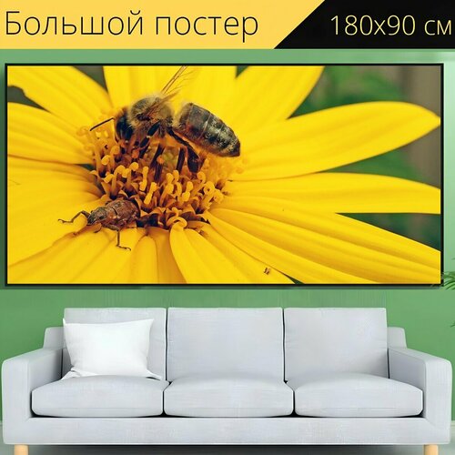 Большой постер "Пчела, насекомое, цветочная пыльца" 180 x 90 см. для интерьера