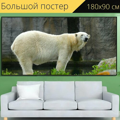 Большой постер "Полярный медведь, хищник, белый" 180 x 90 см. для интерьера