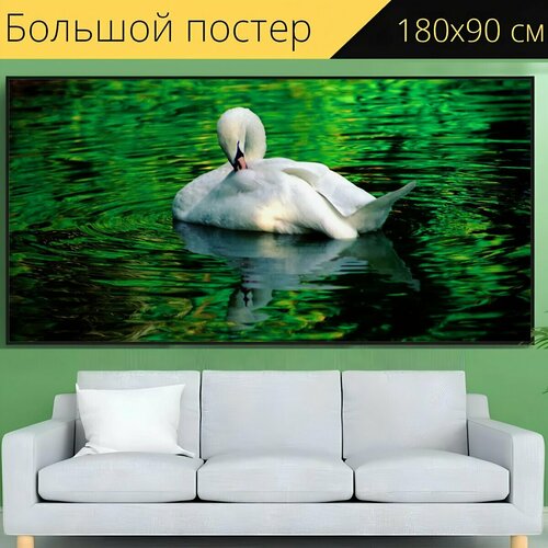 Большой постер "Лебедь, вода, белый" 180 x 90 см. для интерьера