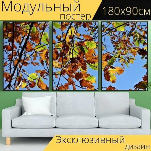 Модульный постер "Осенние листья, дубовые листья, дуб" 180 x 90 см. для интерьера