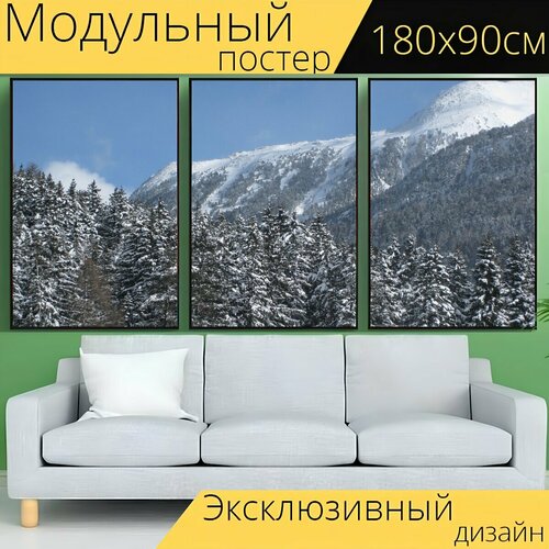 Модульный постер "Горы, хвойные породы, снежный пейзаж" 180 x 90 см. для интерьера