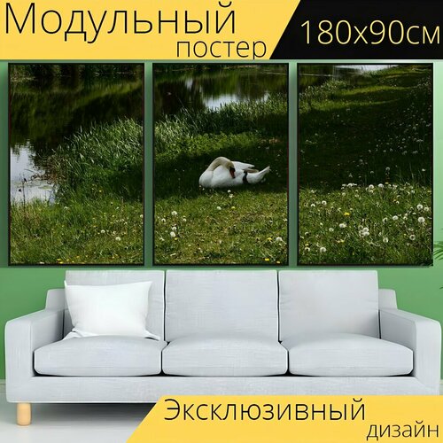 Модульный постер "Лебедь, луг, животное" 180 x 90 см. для интерьера