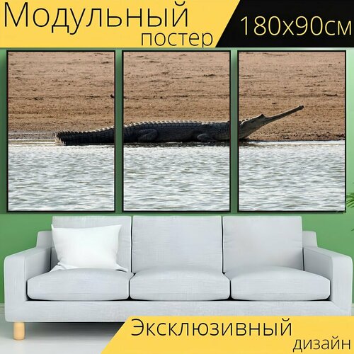 Модульный постер "Гариал, крокодил, реки чамбал" 180 x 90 см. для интерьера