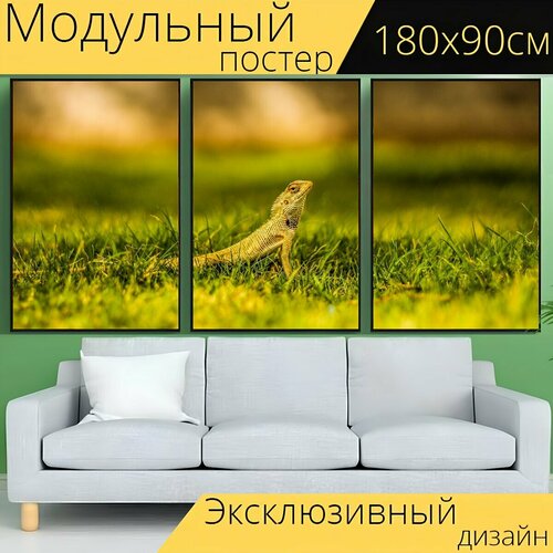 Модульный постер "Ящерица, трава, природа" 180 x 90 см. для интерьера