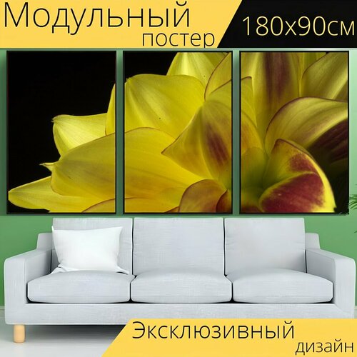 Модульный постер "Цветок, цветы, весна" 180 x 90 см. для интерьера