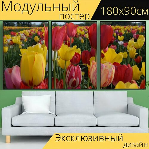 Модульный постер "Цветы, тюльпаны, сад" 180 x 90 см. для интерьера