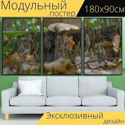 Модульный постер "Гриб, лес, грибы" 180 x 90 см. для интерьера