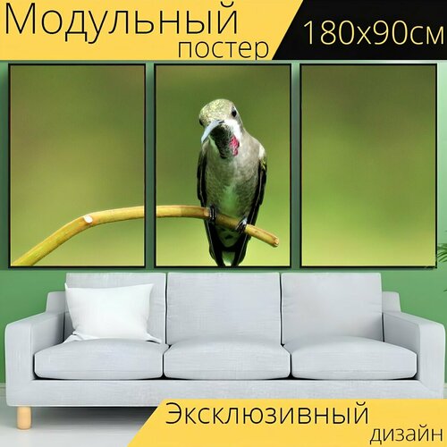 Модульный постер "Колибри, крупный план, наблюдение за птицами" 180 x 90 см. для интерьера